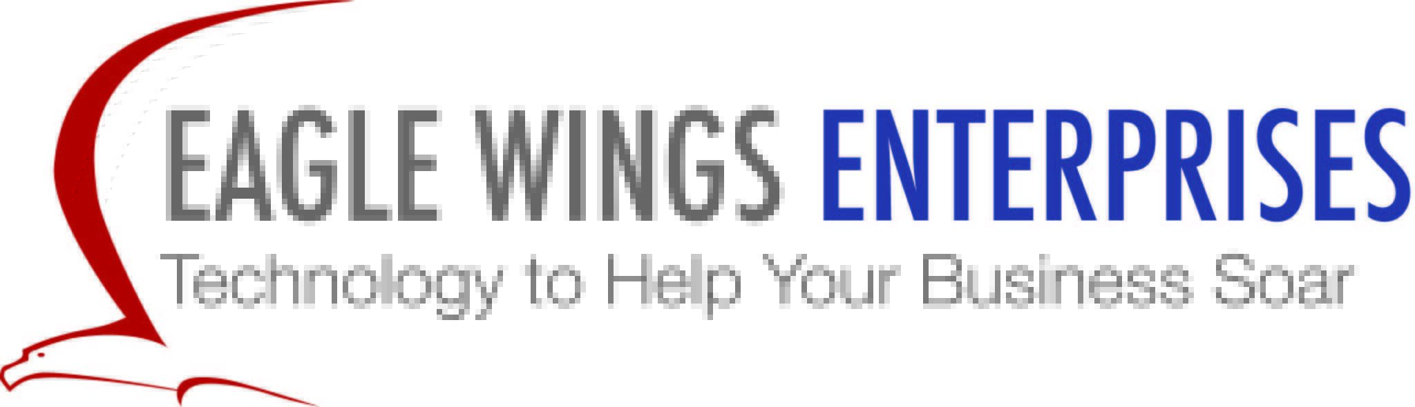 Eagle Wings Enterprises – Using Technology To Improve All Facets Of A ...