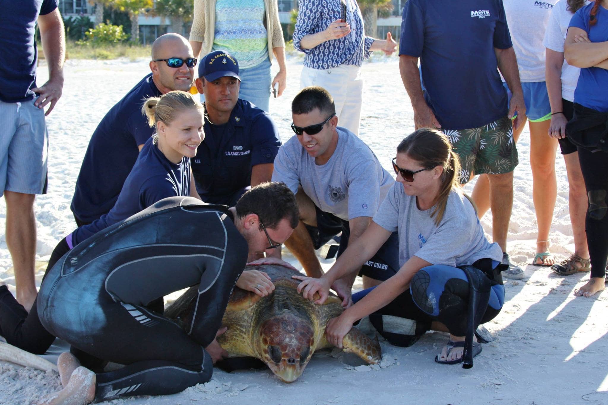 Mote Marine Laboratory - Today's Research For Tomorrow’s Oceans