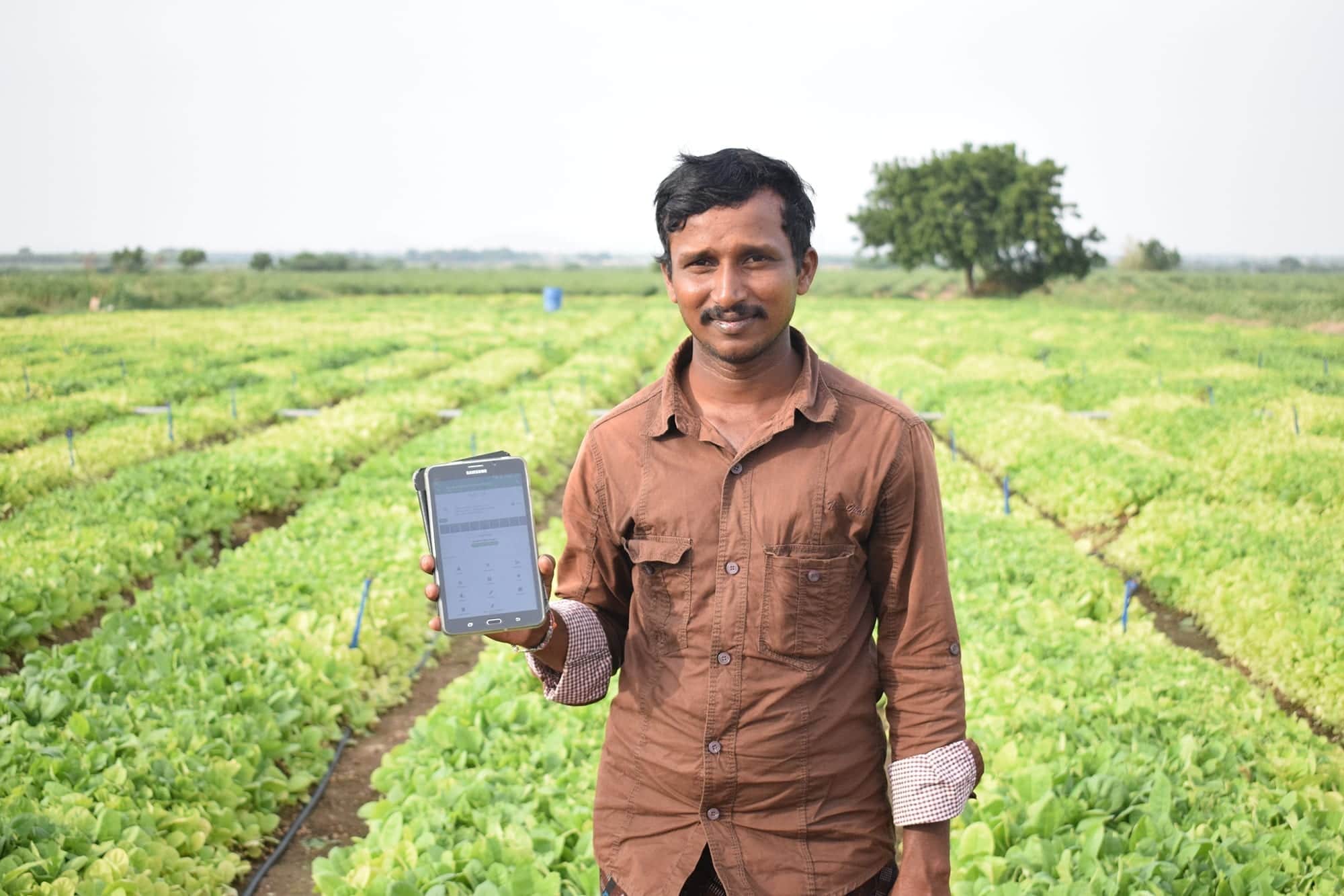 CropIn Technology Solutions-Data Driven Farming