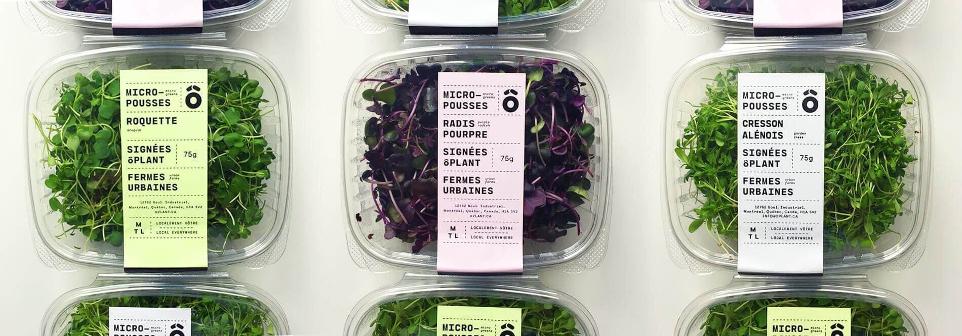 ÔPLANT Urban Farms-Allows the commercial growing of fresh and nutritious