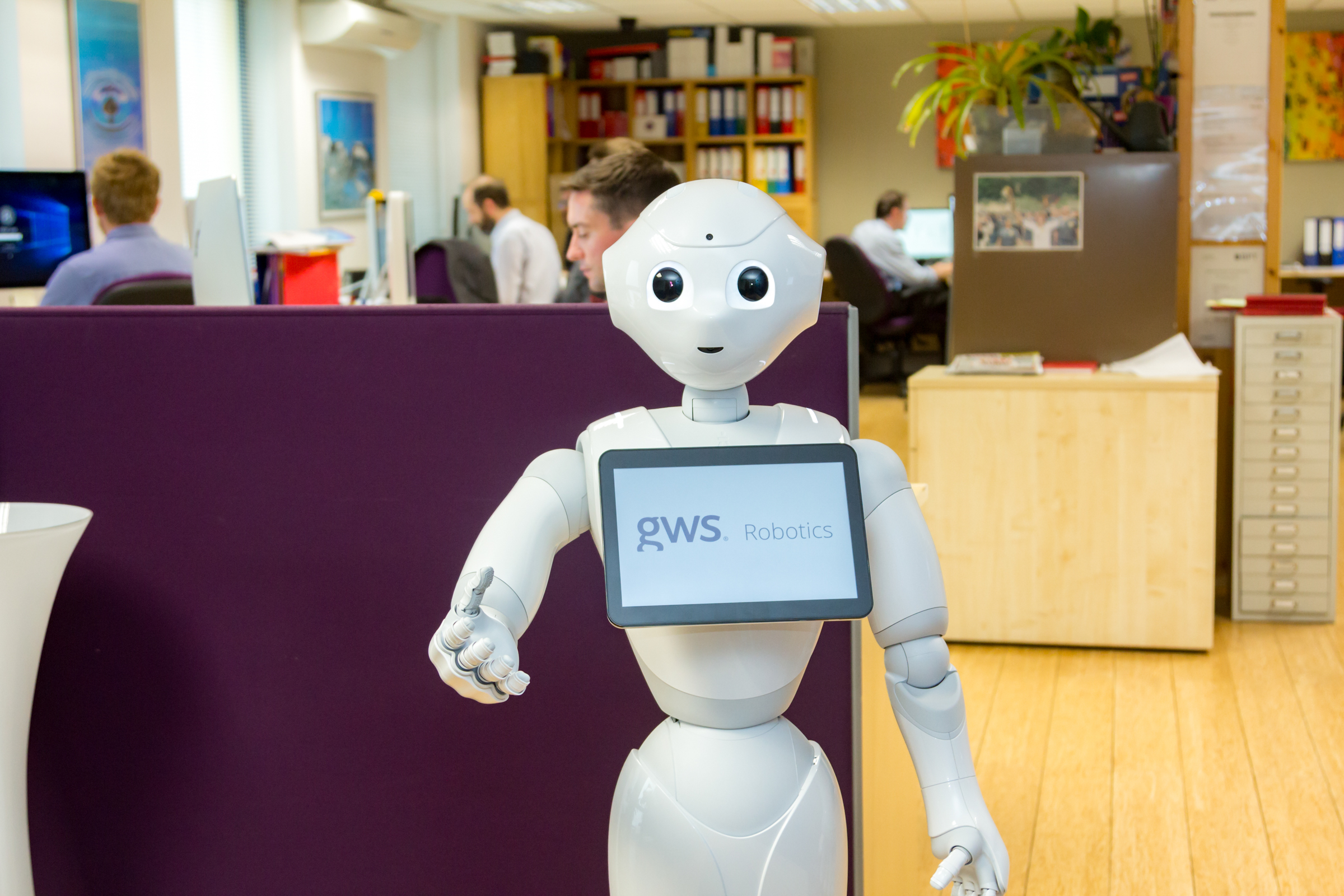 GWS Robotics - Specialises In The Development Of Custom Applications For