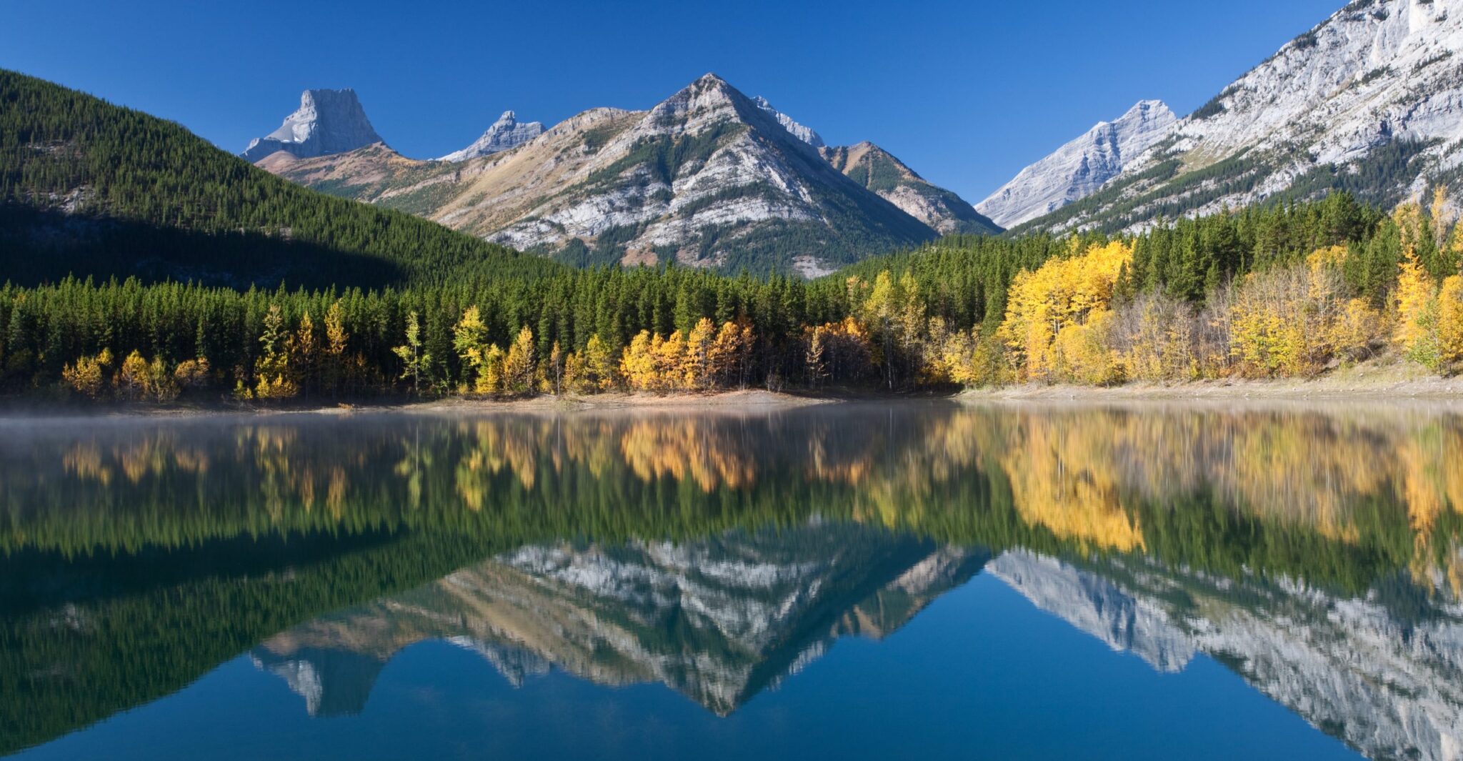 INVEST ALBERTA-MAKING AMBITIONS A REALITY – ALBERTA’S INNOVATIVE ...