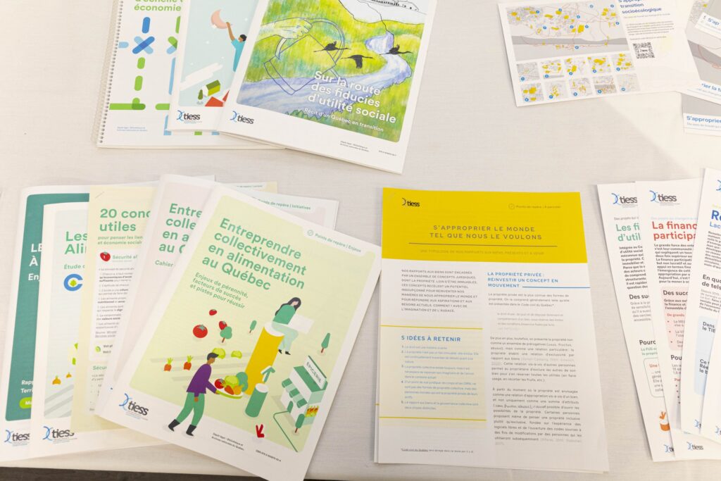 TERRITOIRES INNOVANTS EN ÉCONOMIE SOCIALE ET SOLIDAIRE (TIESS)-CHANGING ...