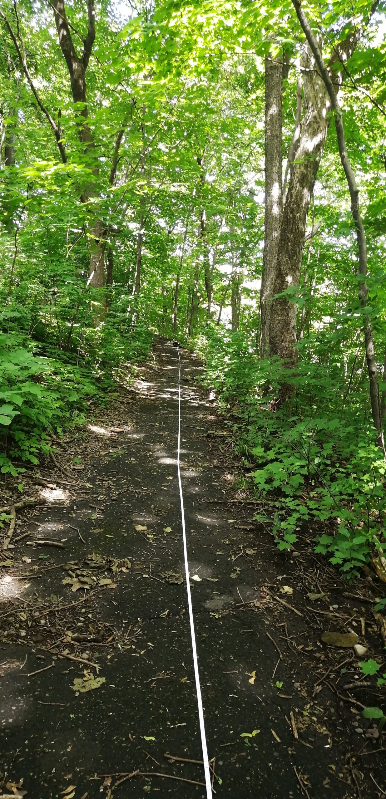 PÔLE SUR LA VILLE RÉSILIENTE-ET SON TIERS LIEU MIXCITÉ, UNIVERSITÉ DU ...