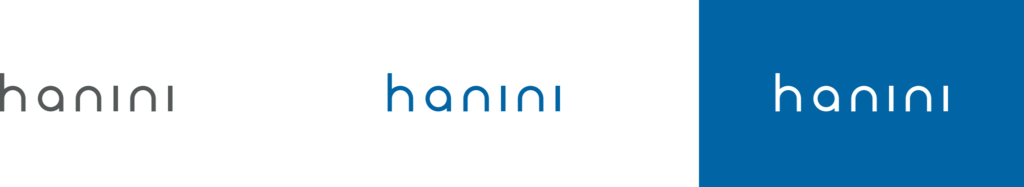 INNOVATING NEWARK’S SKYLINE:HANINI GROUP’S TWO DECADES OF ...