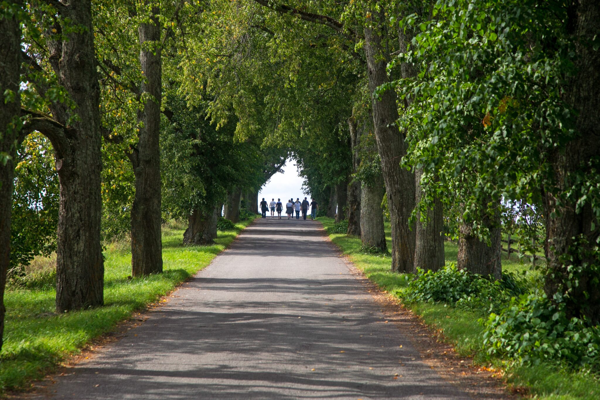 ELCOGEN – HIGHLY EFFICIENT SOLID OXIDE CELLS AND STACKS FOR FUEL CELL ...